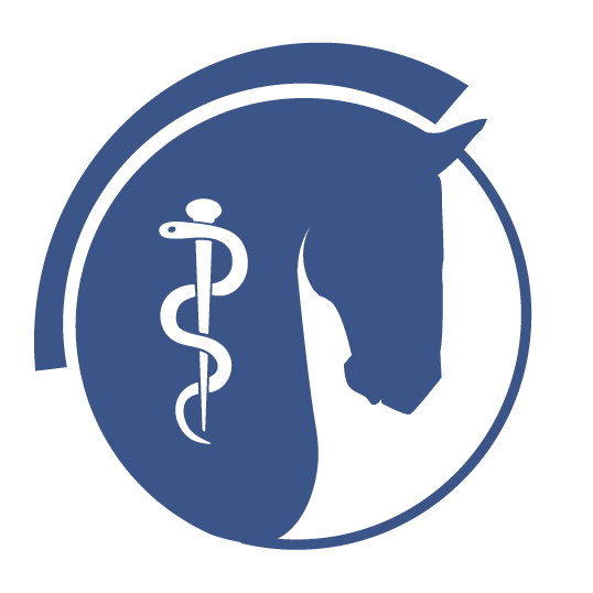 British Equine Veterinary Association > Images